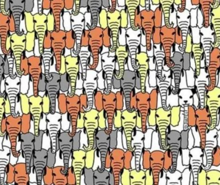 Habilidades Visuales. - Óptica Innovación